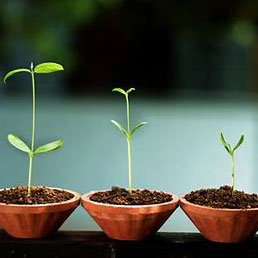 1. When is Something Worth Developing? – Worth Developing